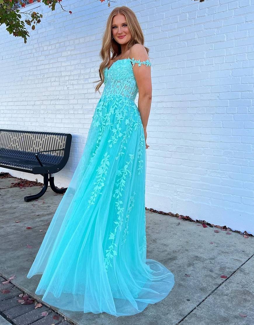 Dressself A-line Long Tulle Prom Formal Dress with Appliques